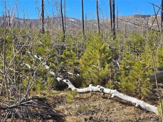 Von Heyl Ln Lot 1460, Fort Garland, CO 81133