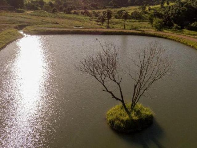 Você Quer Mais Natureza e Espaço Para Sua Família? FAZENDAS MIRANTES
