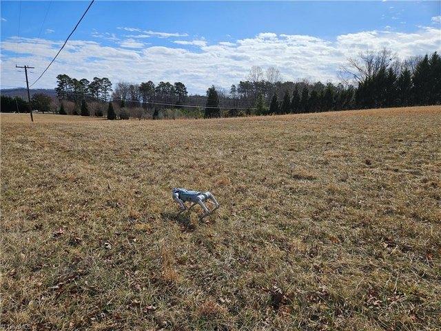 Volunteer Rd Unit 2, Pinnacle, NC 27043