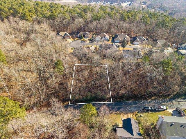 Volcanic Dr Lot 116, Benton, AR 72015