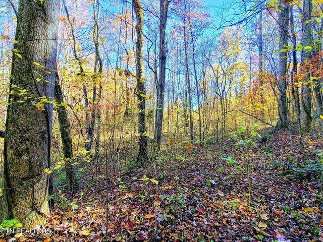 Vowell Mountain Ln, Rocky Top, TN 37769
