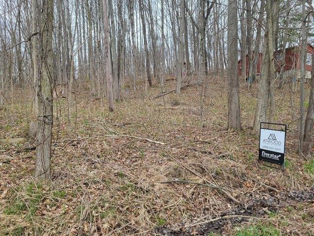 V/L 45 E Peterson Dr, Gobles, MI 49055