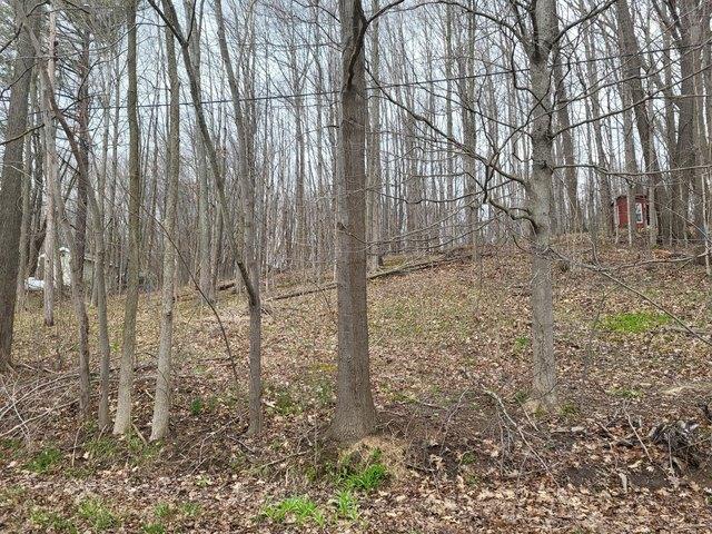 V/L 46 E Peterson, Gobles, MI 49055
