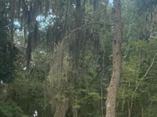 V/L 500 Storey Ave, Saint Marys, GA 31558