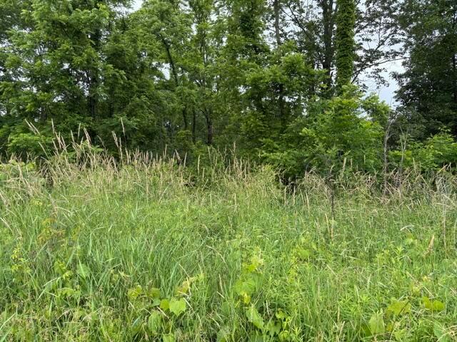 VL 56th Street # Lot C