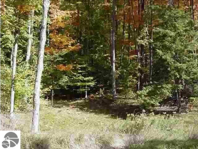 VL#7 Timber Valley Court
