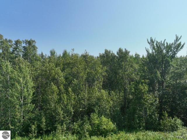 VL 80A E 15 Mile Road