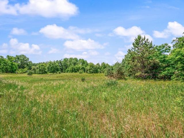 Vl 80th Ave, Mecosta, MI 49332