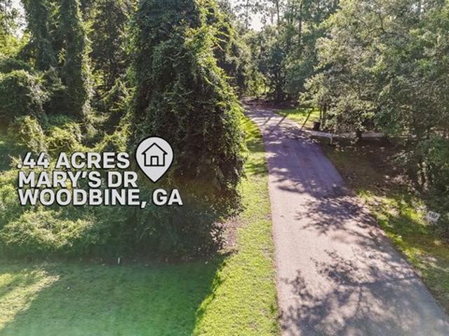 V/L 81 Marys Dr, Woodbine, GA 31569