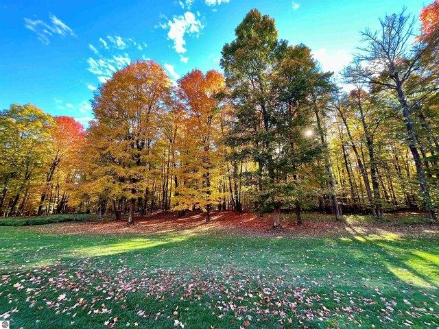 V/L 82 Troon North Lot 82, Bellaire, MI 49615