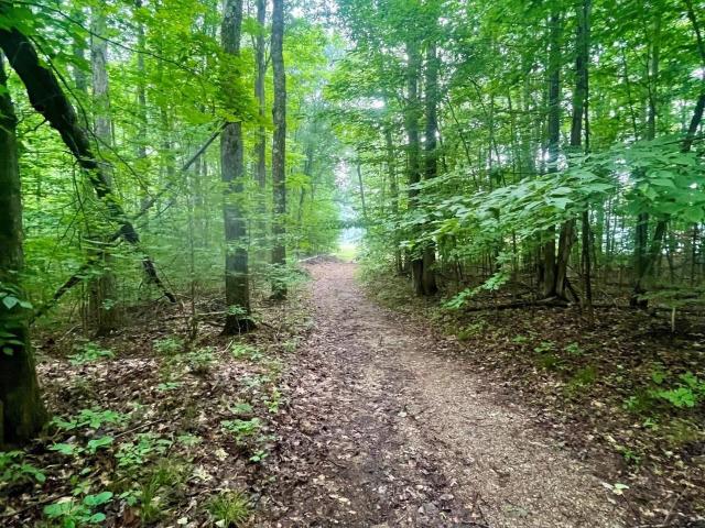 V/L 8 Forest Trail