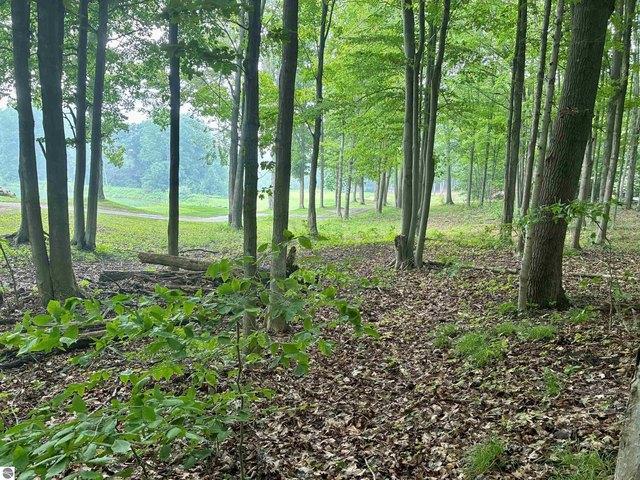 V/L 8 Forest Trl, Bellaire, MI 49615