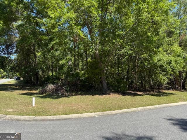 V/l 902 0 Teather Dr, Kings Bay, GA 31558 | MLS #10506