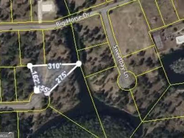 V/L 92 Big Horse Dr, Waynesville, GA 31566 MLS 10340417