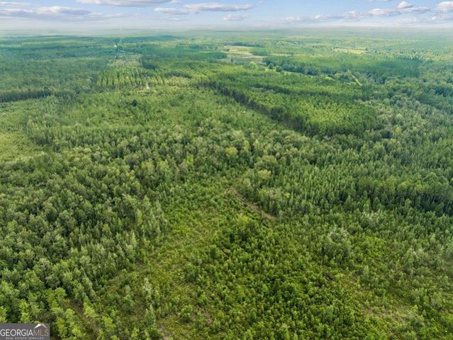 V/L 96 Old Reserve Rd, White Oak, GA 31569
