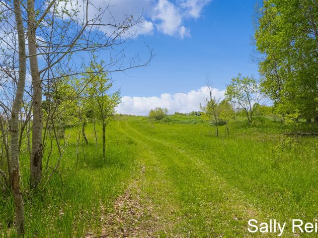 V/L 9 Mile Rd Road