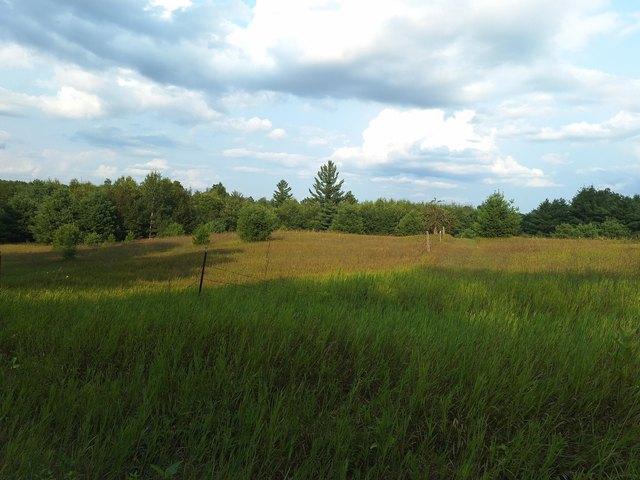 V/L 00 N Lakola Rd, Leroy, MI 49655