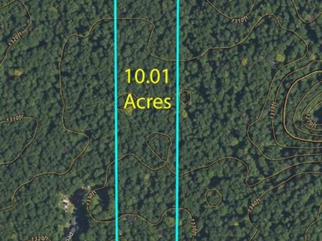 V/L 10 01A Binder Rd, Elmira, MI 49730