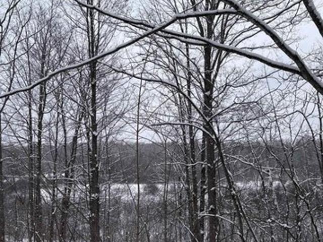 Vl 10 Lake Louise Rd, Interlochen, MI 49643