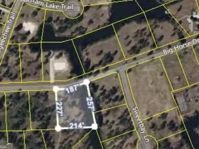 V/L 119 Big Horse Dr, Waynesville, GA 31566 MLS 10340432