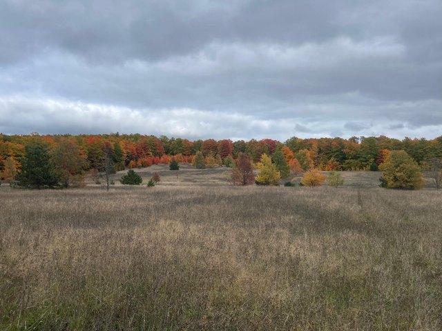 V/L 120 Ac Holiday Rd, Wolverine, MI 49799