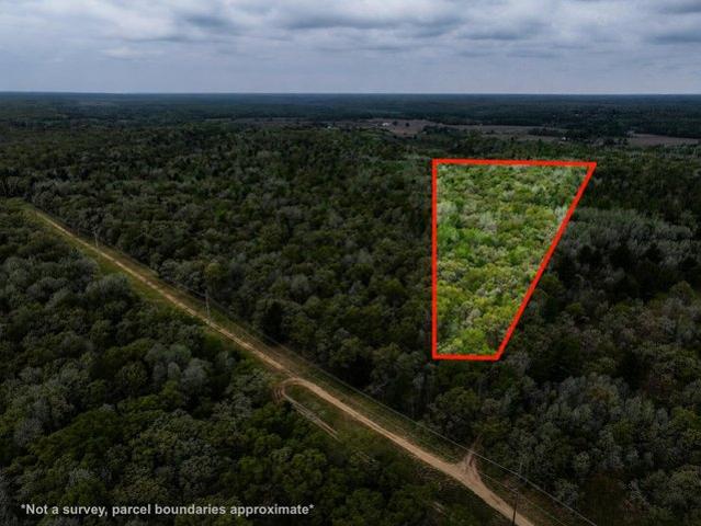 V/L 12 19 Rapp Dr, Grant, MI 49327