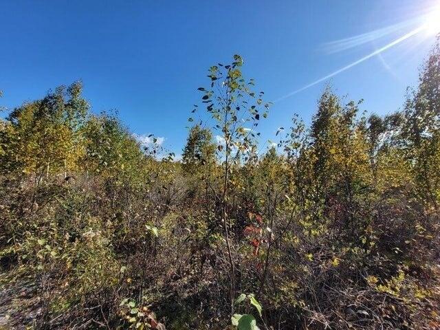 V/L 20 8AC County Road 451, Rogers City, MI 49779