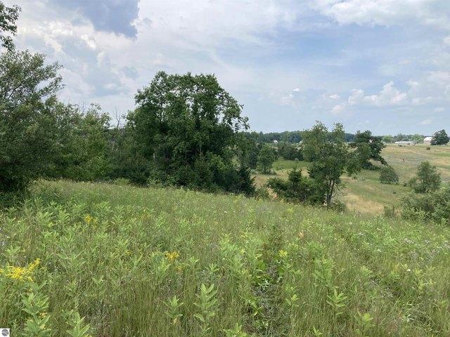 V/L 20a M/L Mayhew Rd, Rose City, MI 48654