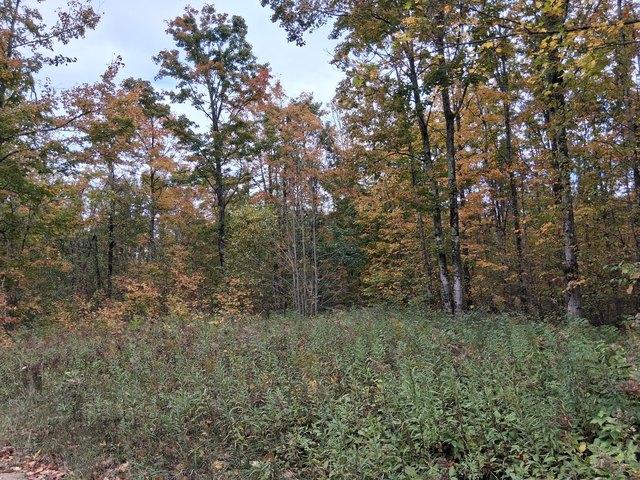 V/L 20AC Webster Rd, Elmira, MI 49730