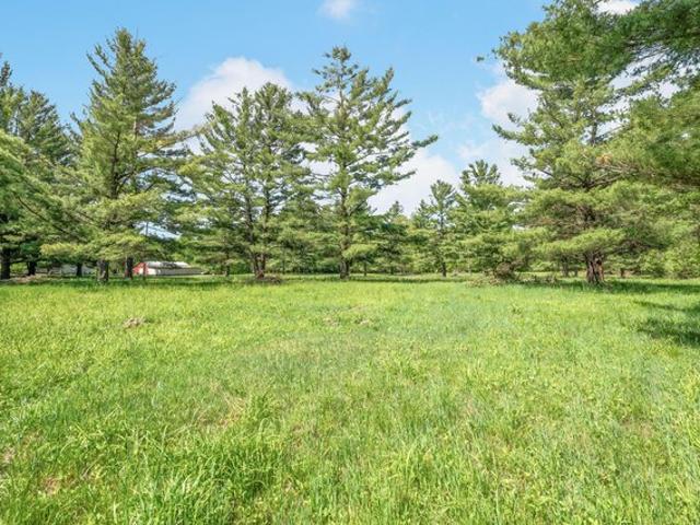 V/L 220th Ave, Big Rapids, MI 49307