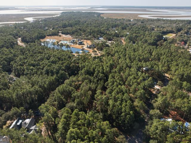 238 Lateral Buoy Ln St, Kings Bay, GA 31547 | MLS #10680