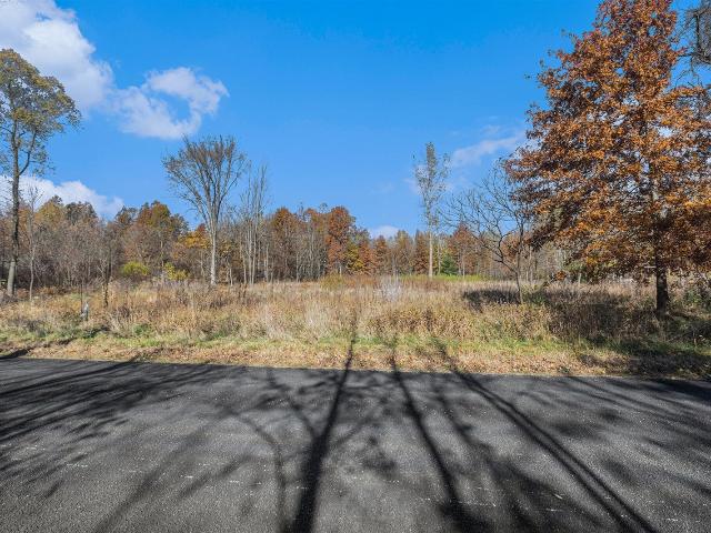 Vl 3.87ac. 24th Avenue
