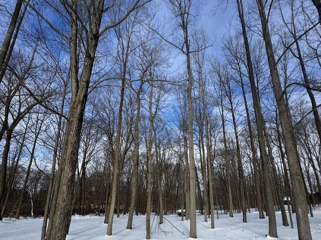 V/L Timberlane Dr, Jones, MI 49061
