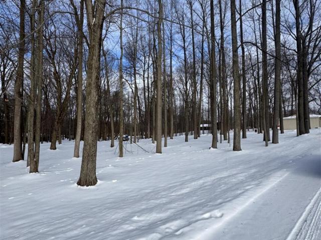 V/L Timberlane Drive