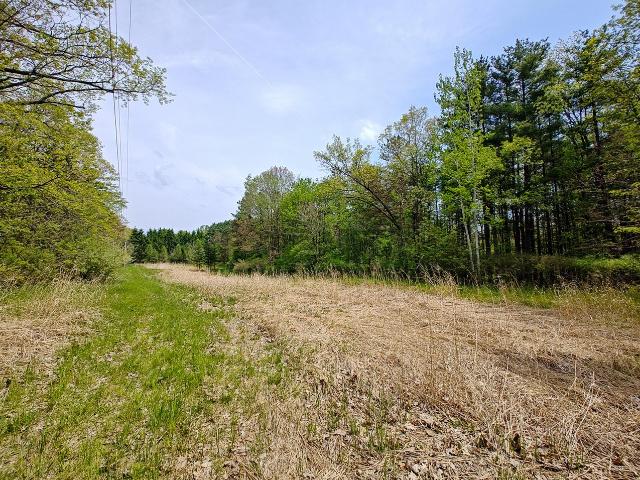 VL Tipsico Lake Rd Parcel A