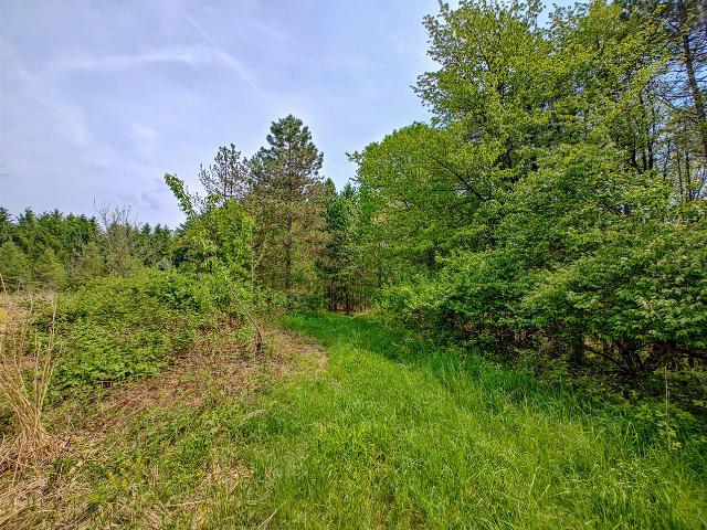 VL Tipsico Lake Rd Parcel B