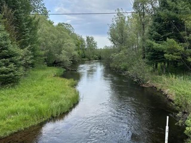 V/L W M Hwy, Grayling, MI 49738