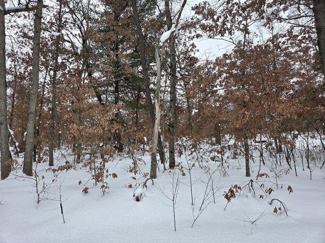 V/L W Mead St, Baldwin, MI 49304