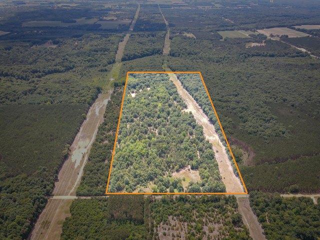 V/L W Adams Rd, Pentwater, MI 49449