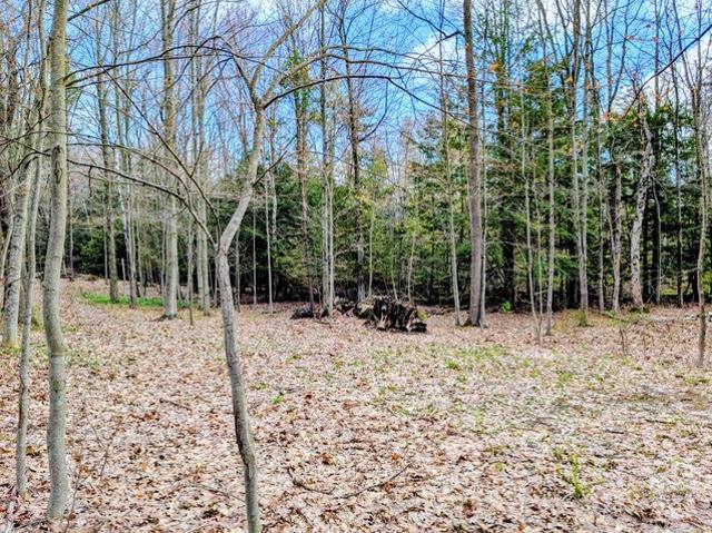 Vl W Jagger Rd, Ludington, MI 49431