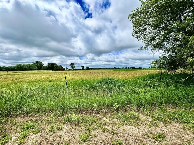 V/L W Lake Montcalm Road # Parcel D