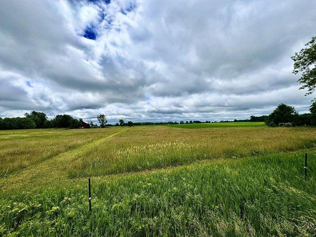 V/L W Lake Montcalm Rd Parcel D, Howard City, MI 49329