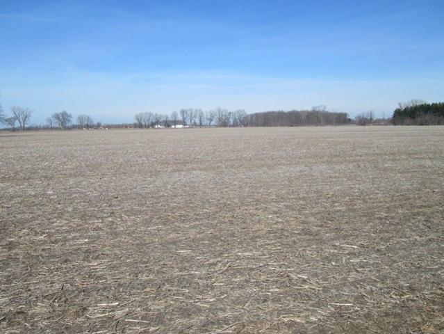 V/L W Lemon Creek Rd Unit 2, Baroda, MI 49101