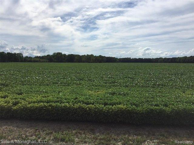 V/L Wadhams Parcel C, Saint Clair, MI 48079