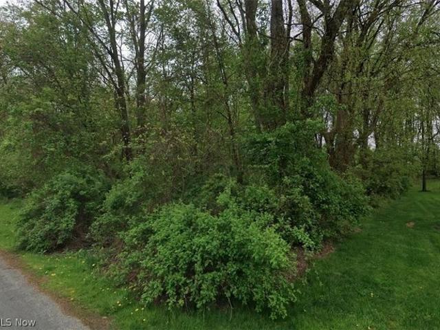 V/L Westport Dr, Akron, OH 44312