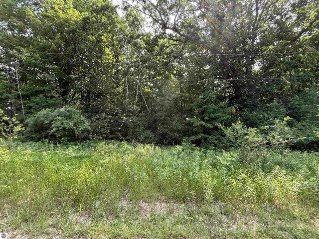 V/L White Birch Dr, Farwell, MI 48625