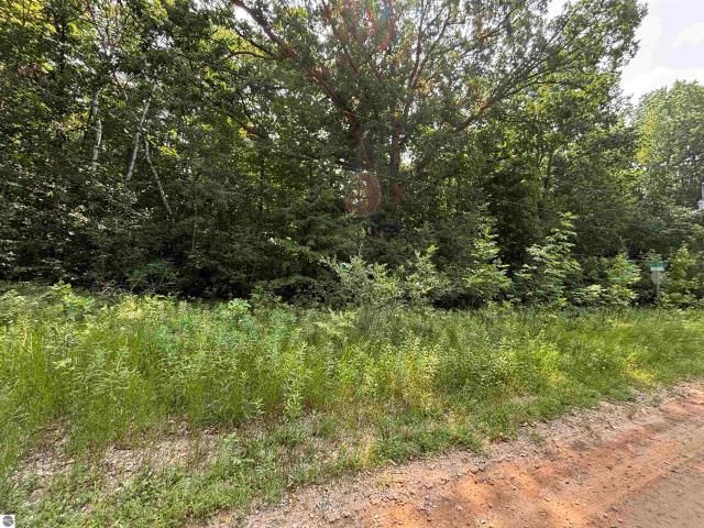 V/l White Birch Drive