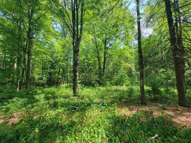 Vl Whitney Rd, Beaverton, MI 48612