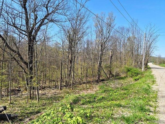 Vl Windsor Rd, Salamanca, NY 14779