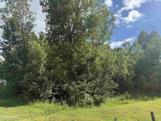 Vl Willow Trl Lot 53, Grand Blanc, MI 48439